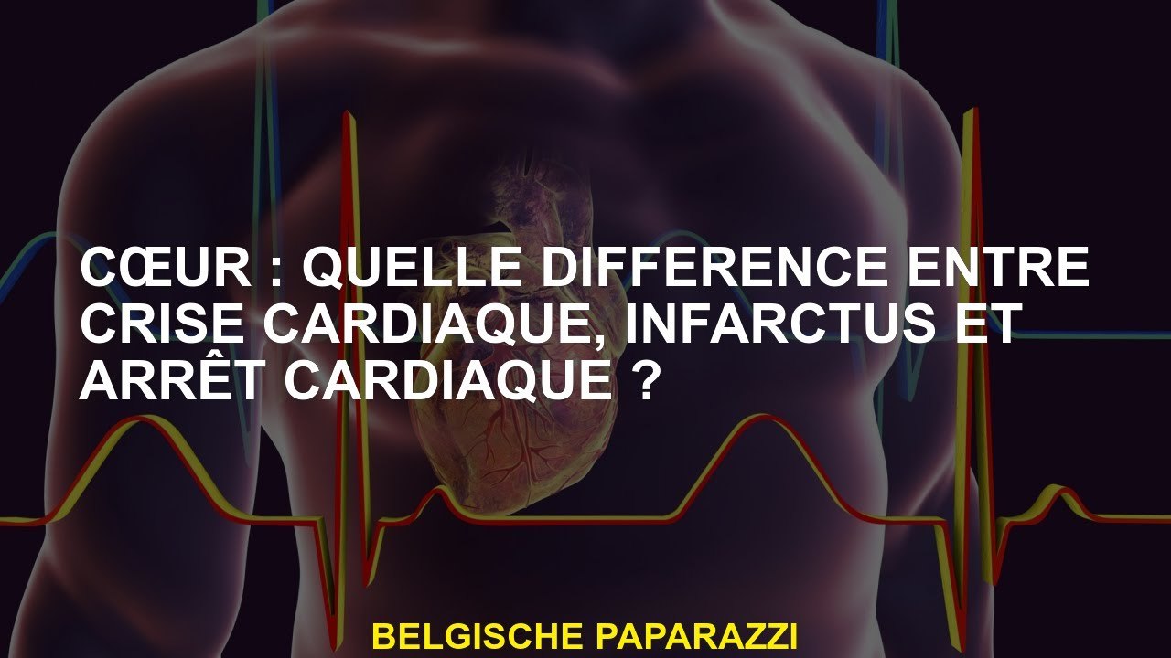 Heart: Quelle différence entre la crise cardiaque, l'infarctus et l ...