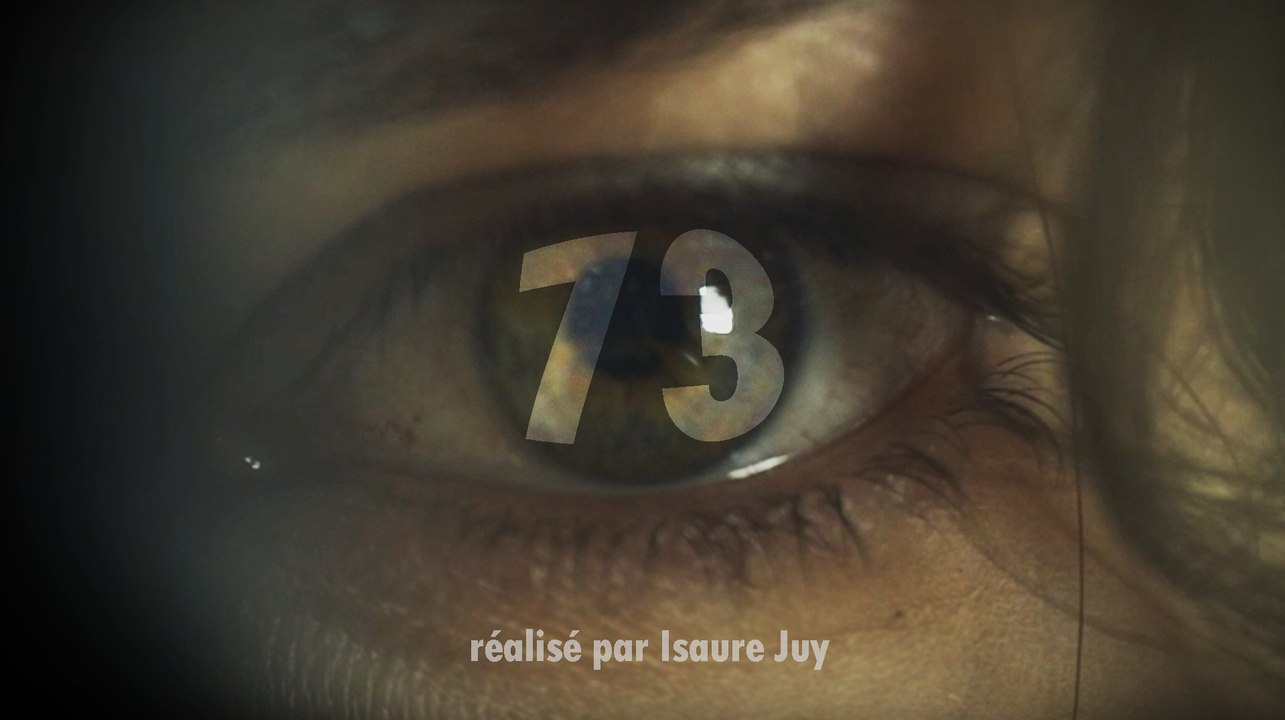 73 - Vidéo Dailymotion