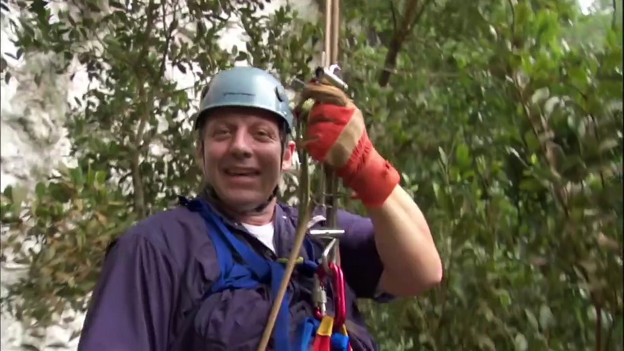 Wild Kratts S02E08 - Secrets of the Spider's Web - video Dailymotion