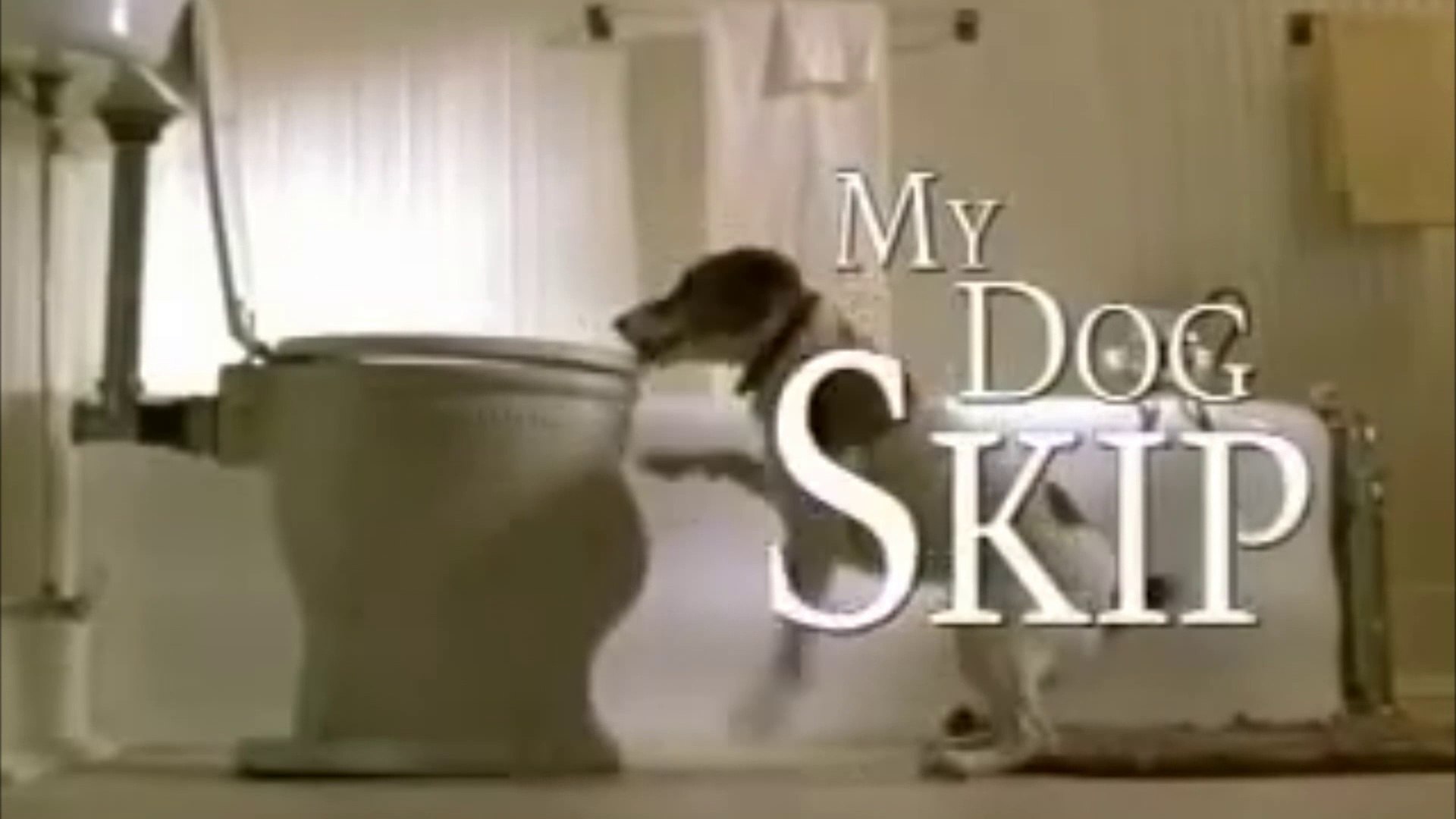My Dog Skip Movie