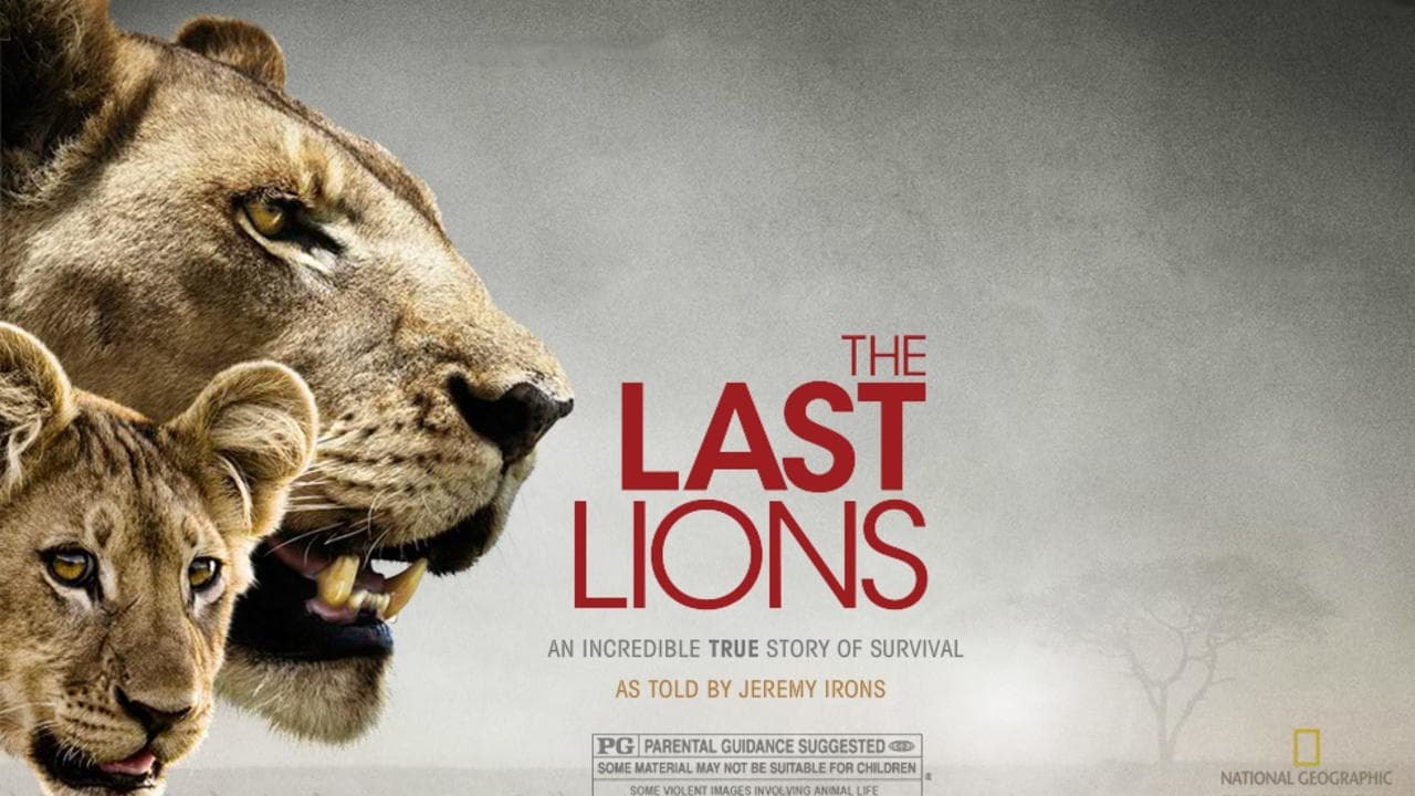 The Last Lions (2011) | Official Trailer, Full Movie Stream Preview ...