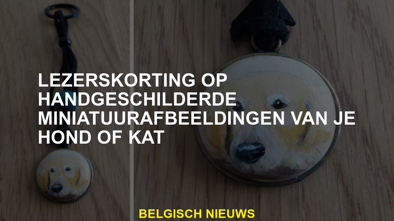 De korting van de lezer bij de hand -geschilderde miniatuurafbeeldingen ...