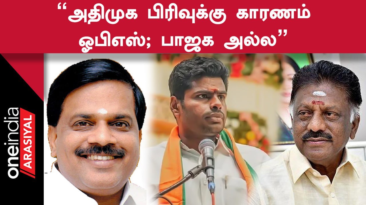 ADMK MLA Thalavai Sundaram | இரட்டை இலை சின்னத்தை முடக்க நினைப்பது OPS ...