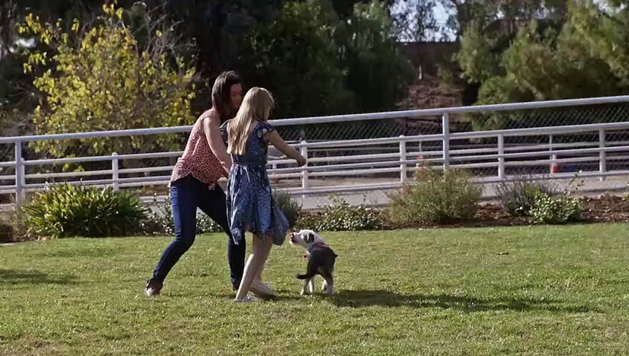 Killer Contractor | movie | 2019 | Official Trailer - video Dailymotion