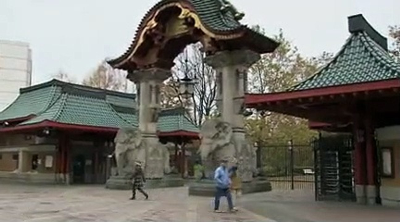 Knut & Friends | movie | 2008 | Official Trailer - video Dailymotion