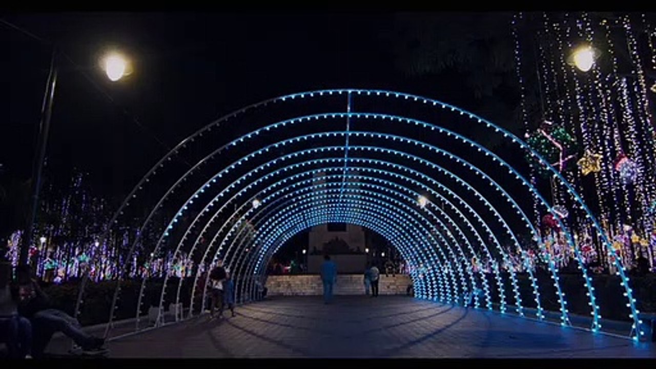 The Family Tree | movie | 2020 | Official Trailer - video Dailymotion