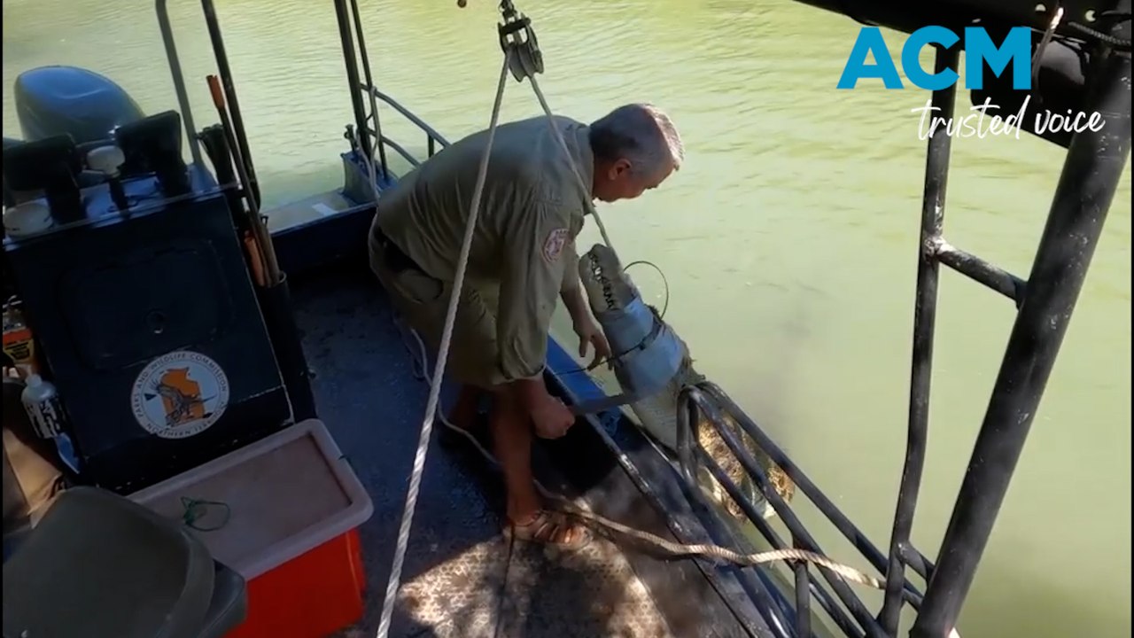 Legendary croc handler catches NT crocodiles - video Dailymotion