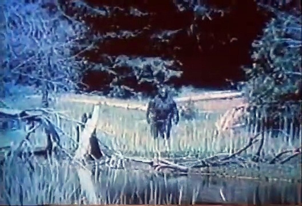 Bigfoot: The Unforgettable Encounter | movie | 1994 | Official Trailer ...