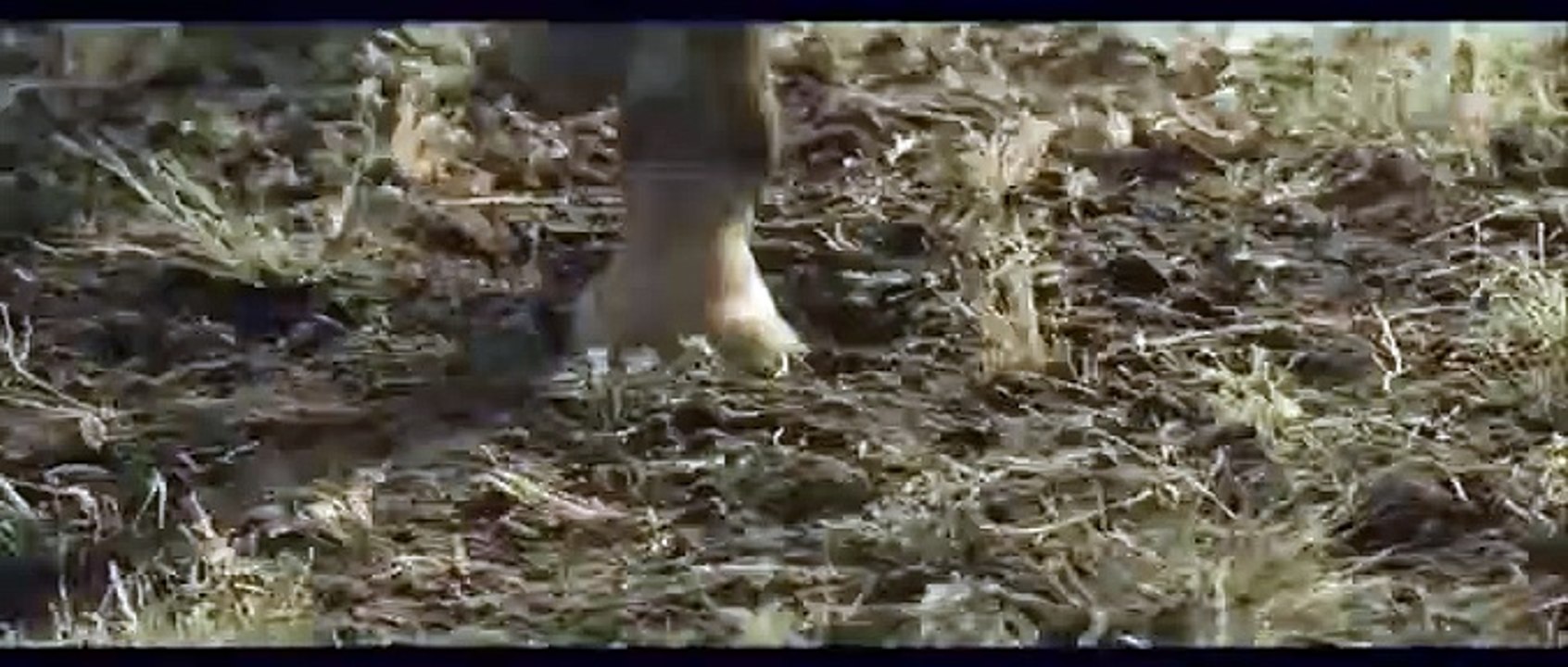 The Burrowers | movie | 2008 | Official Trailer - video Dailymotion