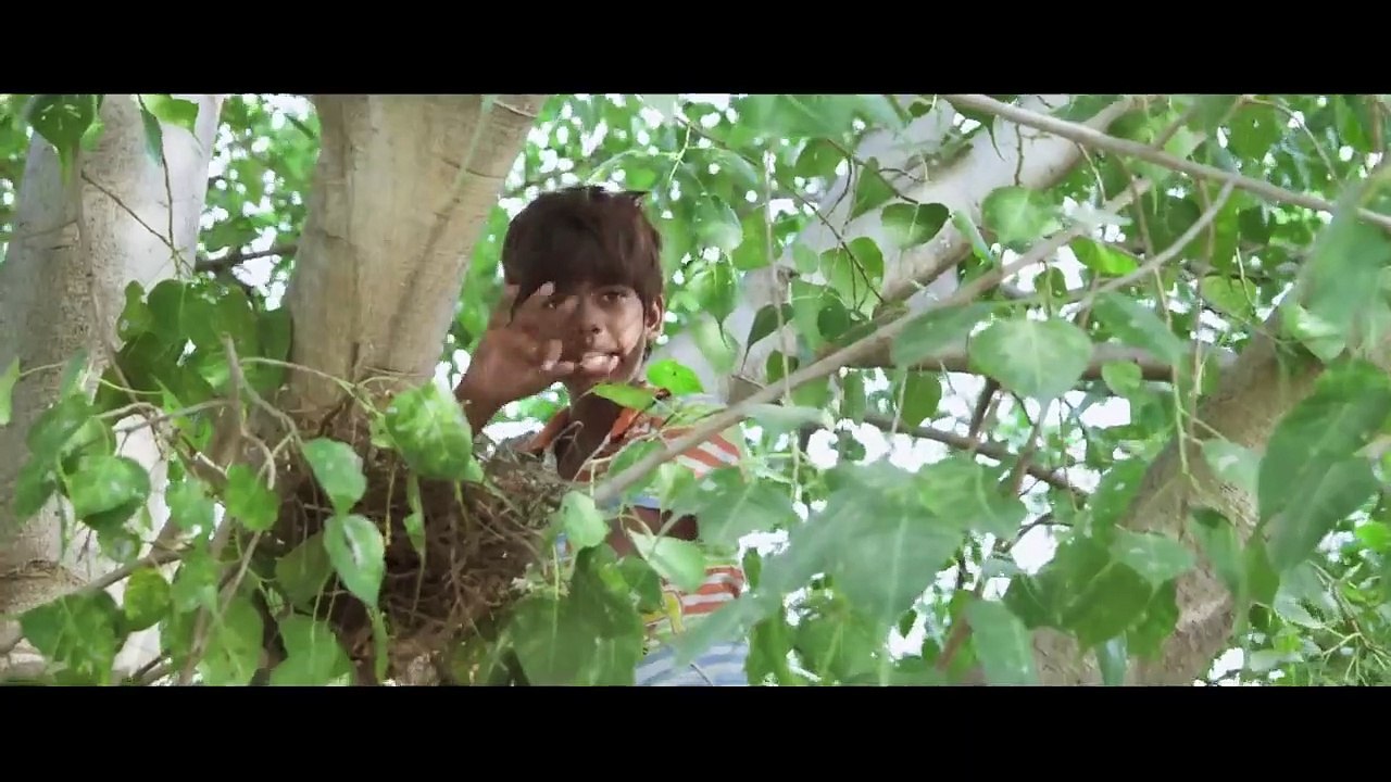 Kaaka Muttai | movie | 2015 | Official Trailer - video Dailymotion