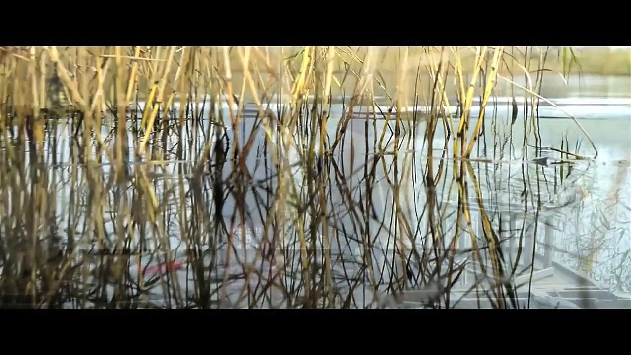 The Hatching | movie | 2017 | Official Trailer - video Dailymotion