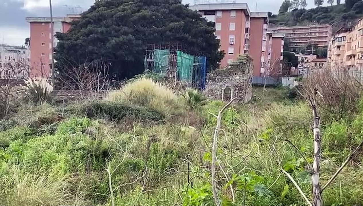 il presidente dell'Istituto autonomo case popolari Giovanni Rovito ...