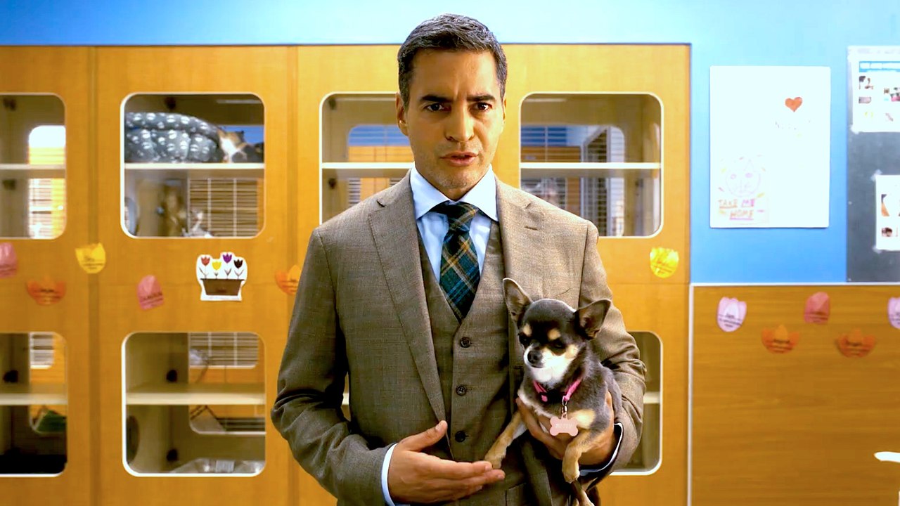 The Scene Stealing Dog Betty on ABC's Crime Drama Series Will Trent ...