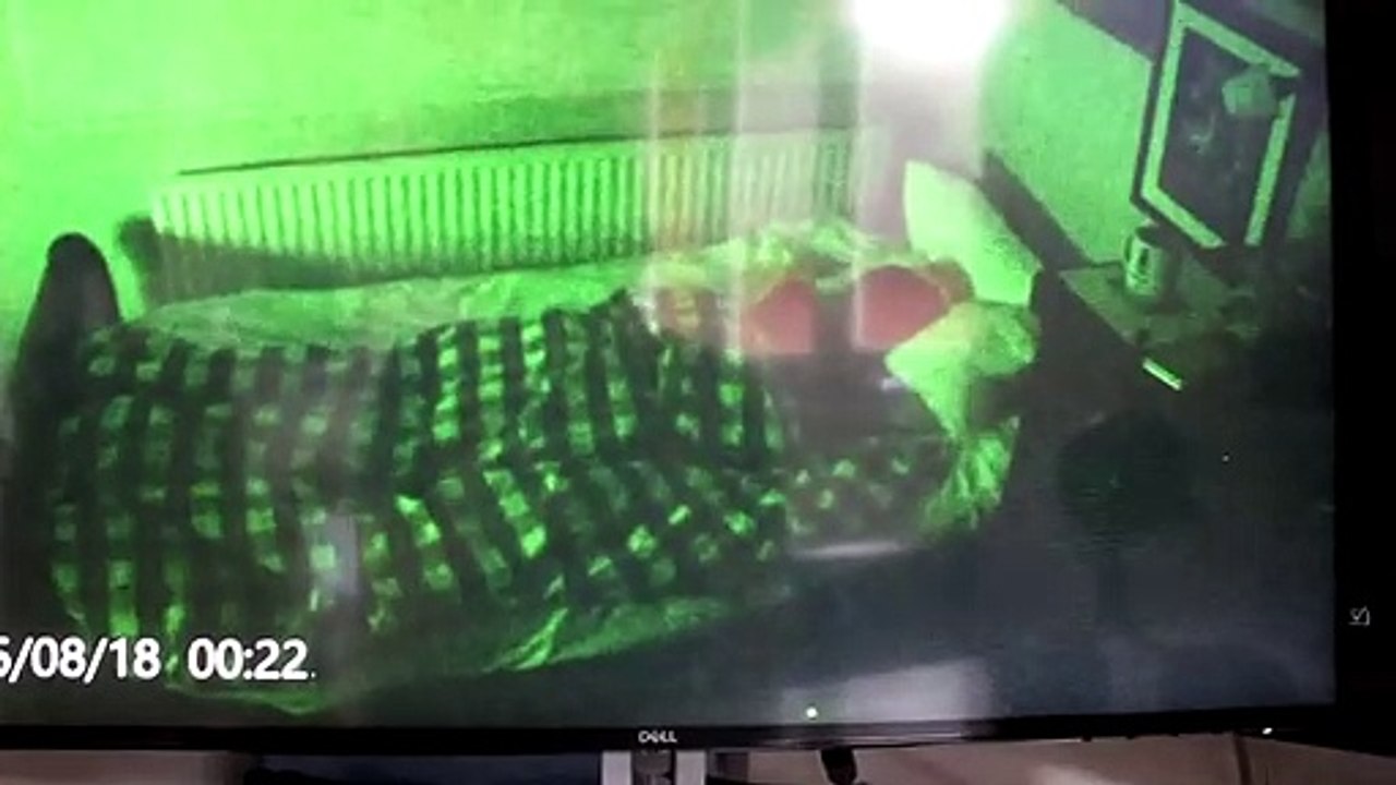Paranormal Activity: Origin of Toby | movie | 2020 | Official Trailer ...