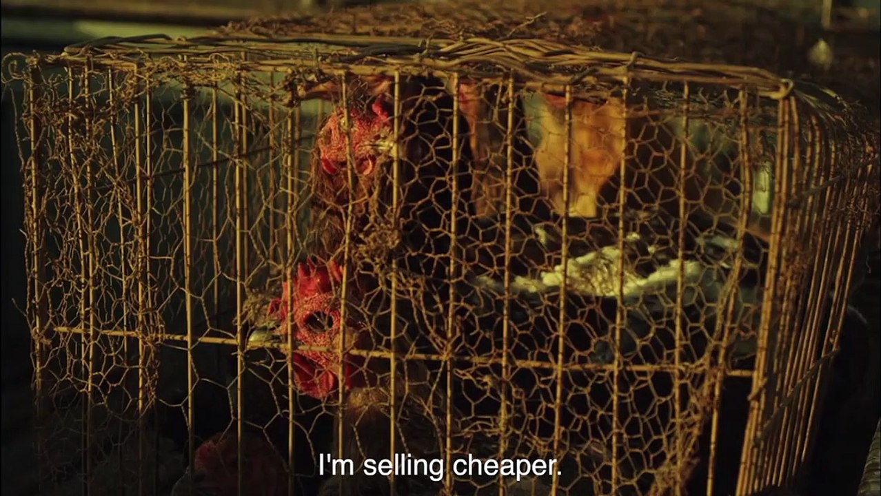 Querência | movie | 2020 | Official Trailer - video Dailymotion