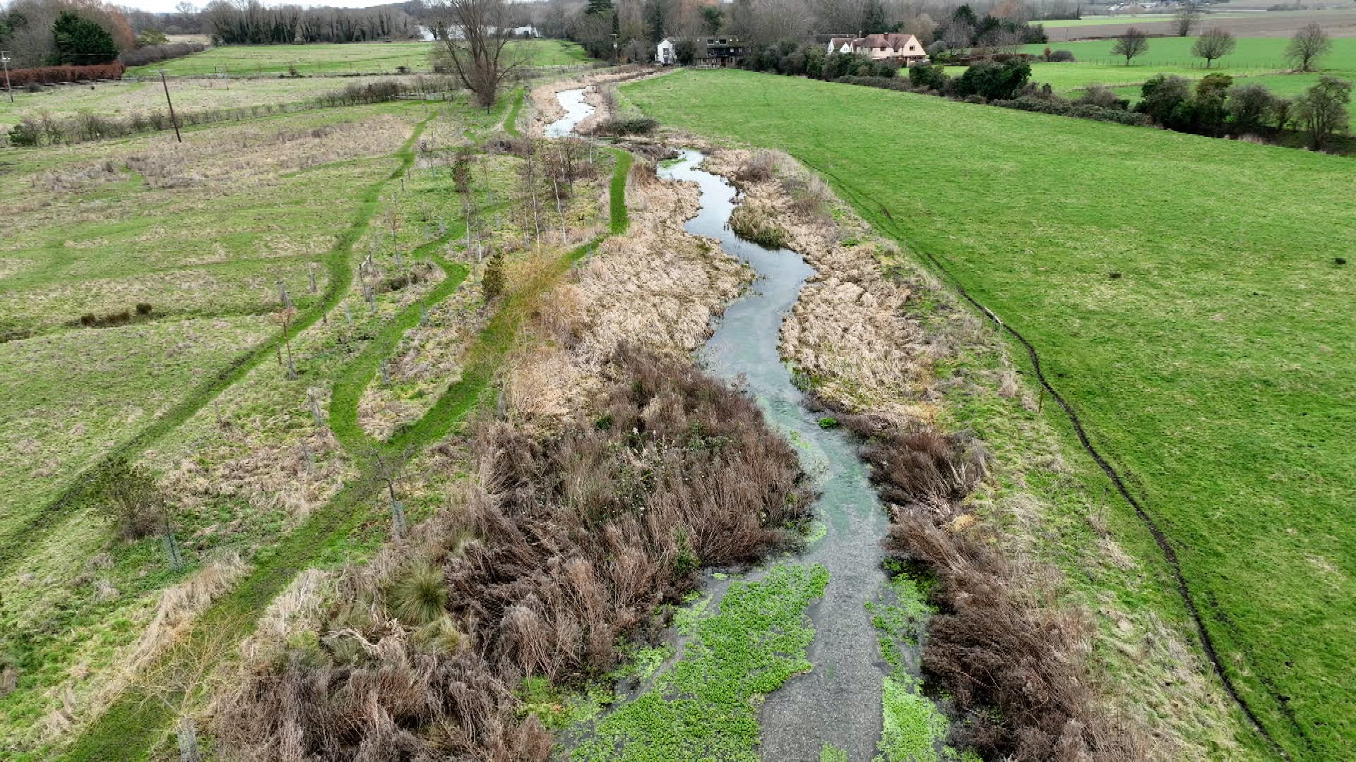 Environmentalists say Kent's disappearing chalk streams are vital habitats