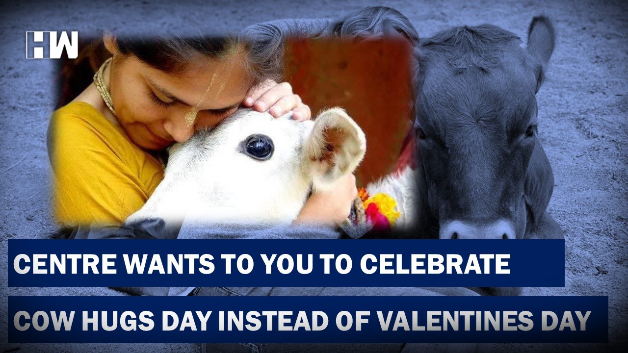 Headlines: Celebrate "Cow Hug Day" On Valentine's Day: Animal Welfare Body - video Dailymotion