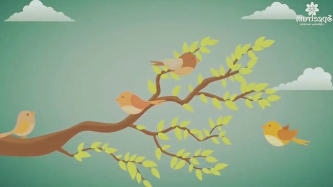 bacho k liye cartoon | cartoon for kids - video Dailymotion