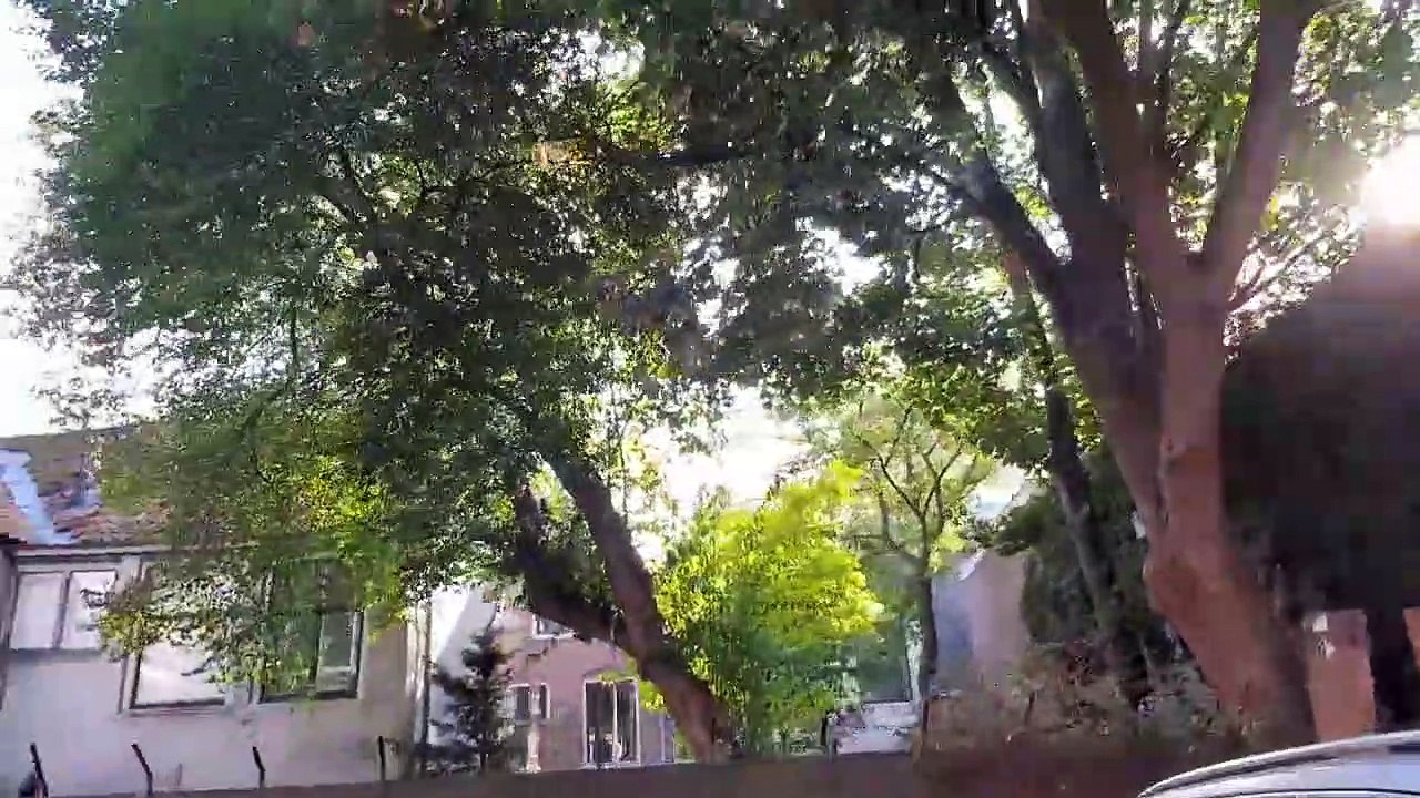 Tourist;Drifter | movie | 2022 | Official Trailer - video Dailymotion