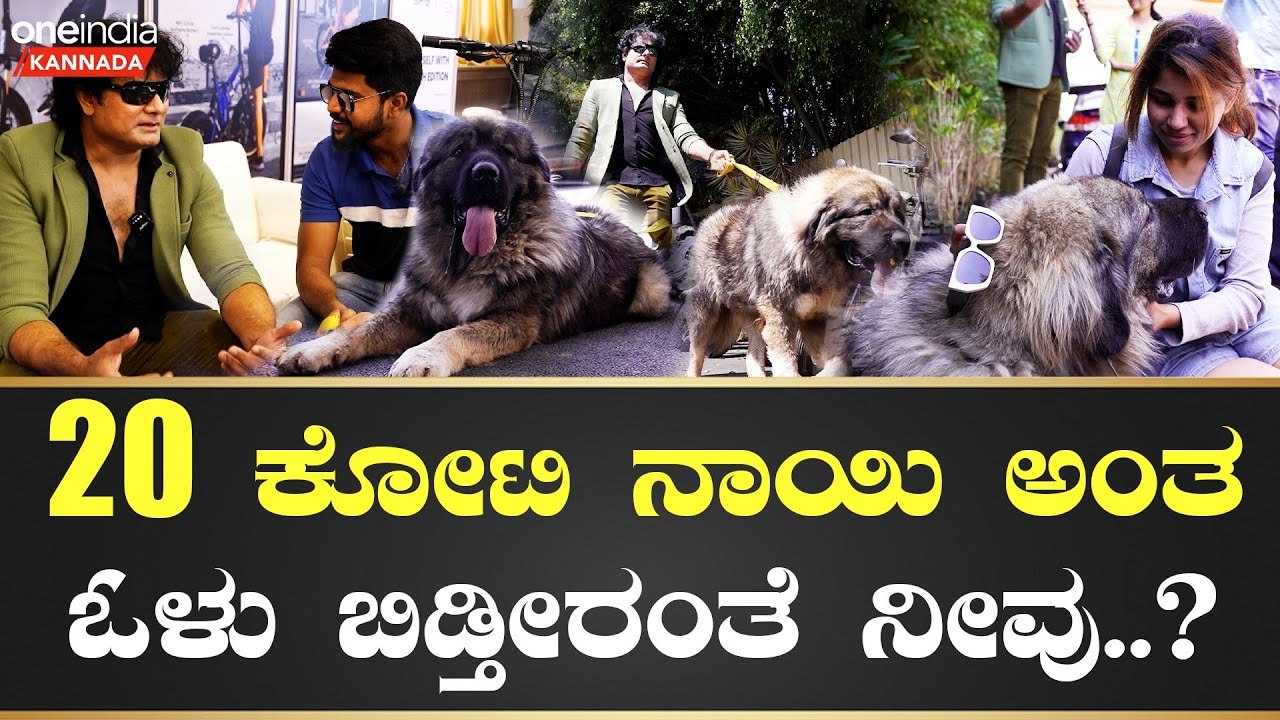20 Crore Dog: 20 ಕೋಟಿ ನಾಯಿಗೆ 40 ಗ್ರಾಂ ಚಿನ್ನದ ಸರ ಗಿಫ್ಟ್ ಕೊಟ್ಟಿದ್ದಾರೆ ...