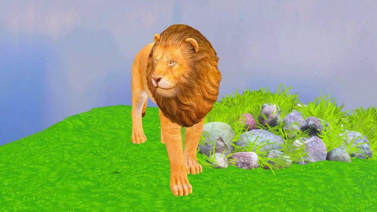 Lion facts for kids - Facts about lion for kids - video Dailymotion