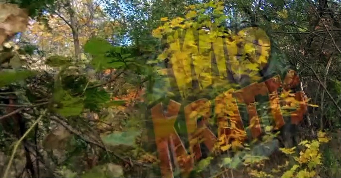 Wild Kratts Wild Kratts S01 E020 – The Blue and the Gray - video ...