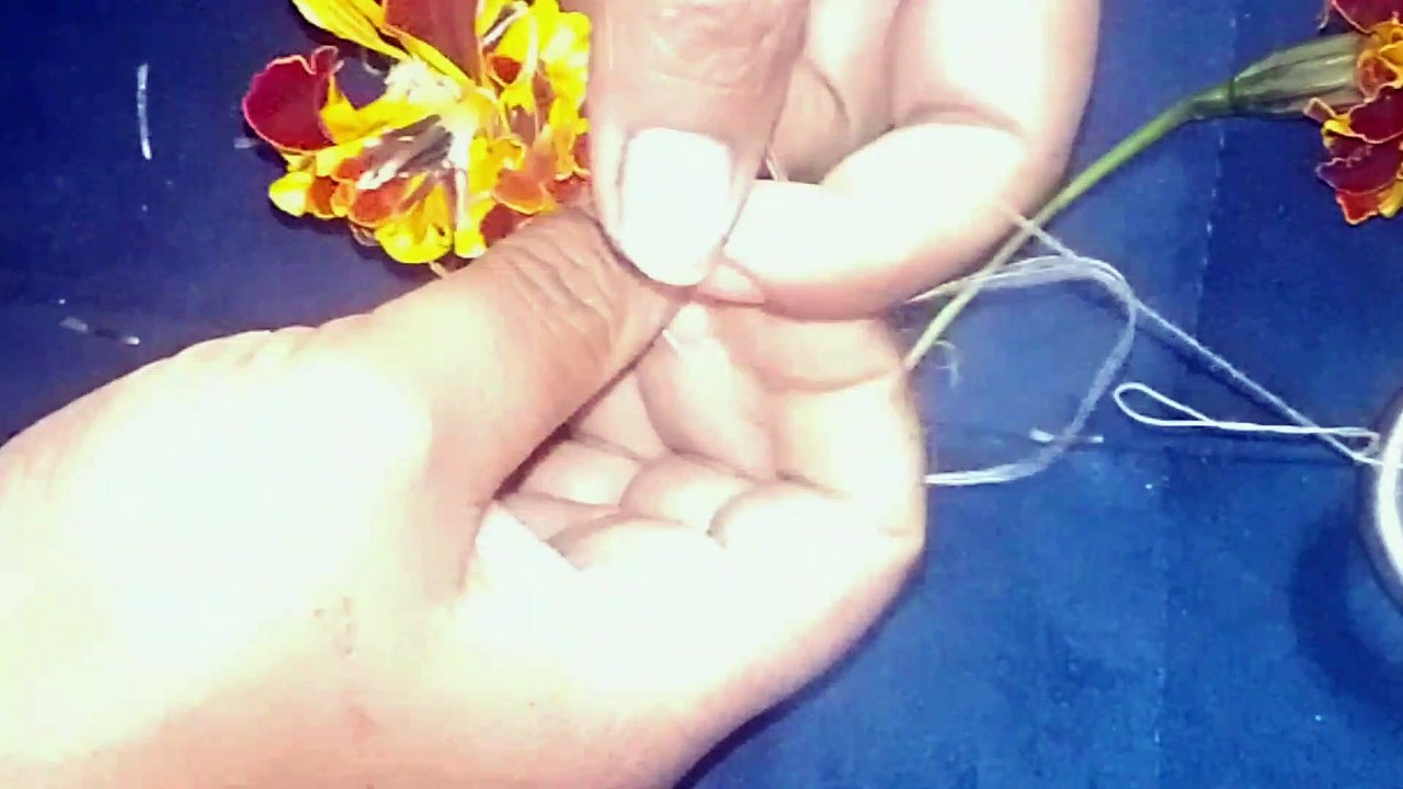 Gende ke fool se bnaya gajara - video Dailymotion