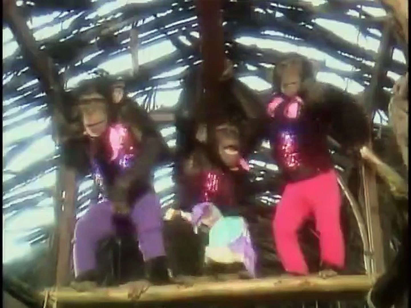 Kidsongs A Day With The Animals KIDSONGS A DAY With The Animals VHS