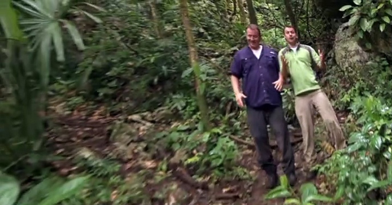 Wild Kratts Wild Kratts S02 E008 – Secrets of the Spider’s Web - video ...