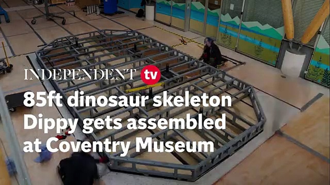 Dippy the diplodocus: 85ft dinosaur skeleton assembled at Coventry ...