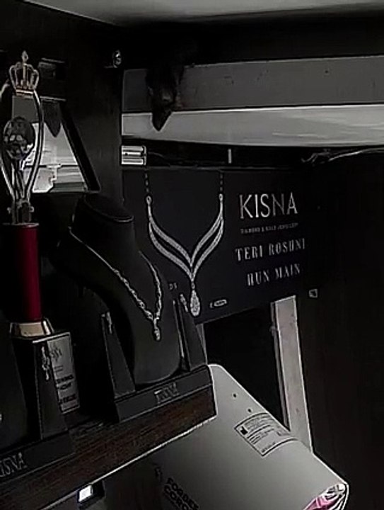 Rato rouba luxuoso colar de diamantes na Índia. Eis as imagens - Vídeo ...