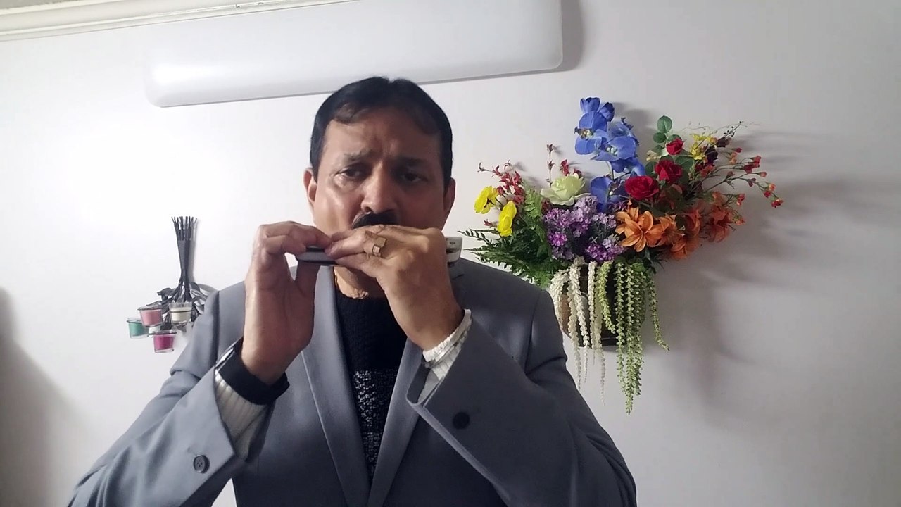O Basanti Pawanan Pagal-Film Jis Desh Mein Ganga Behti Hai 1960 on Harmonica Live Performance by ...