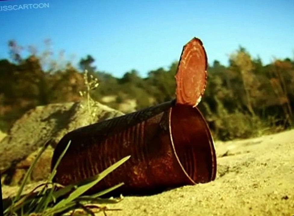 Minuscule Minuscule S02 E018 A Cruel World - video Dailymotion