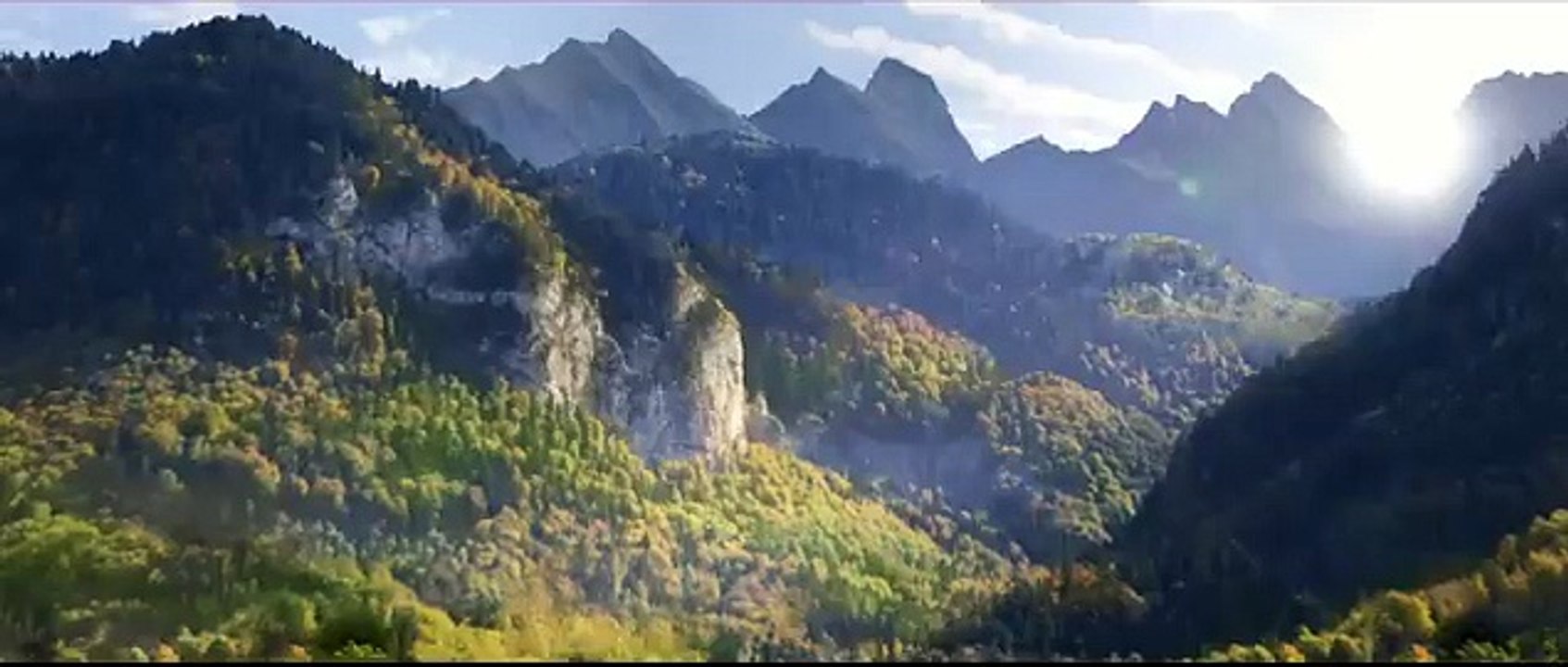 The_Fox_and_the_Bird_-_CGI_short_film_by_Fred_and_Sam_Guillaume(360p ...