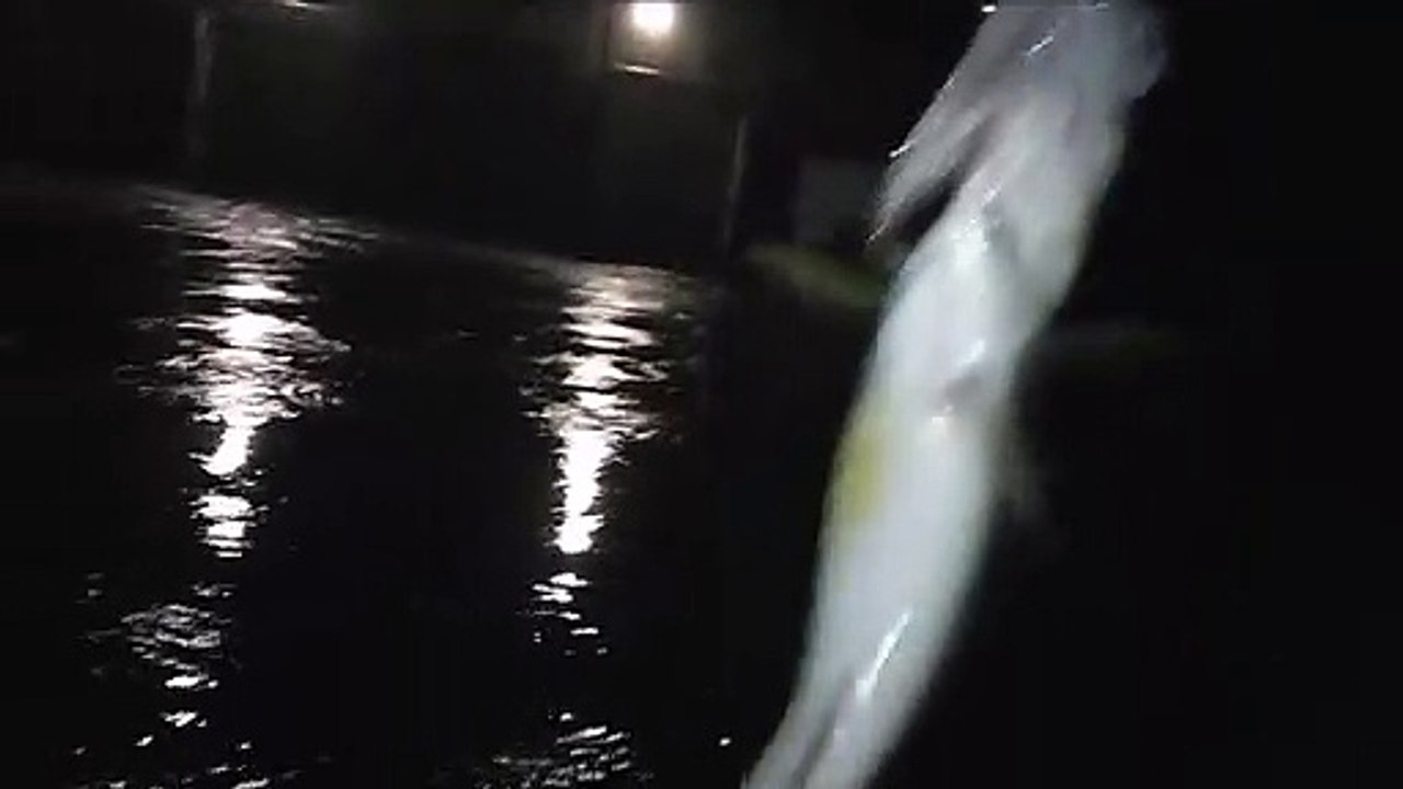 MCH 384 WATCH CLOSE AND YOU WILL SEE WHAT FISH HOOK I USE TO LAND THE ...