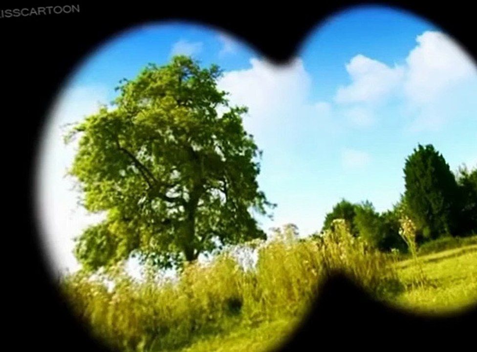 Minuscule Minuscule S01 E028 Sleepless Night - video Dailymotion