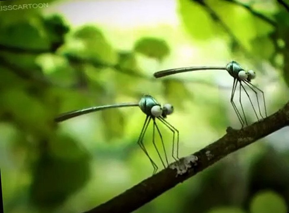 Minuscule Minuscule S02 E011 Ladybugs - video Dailymotion