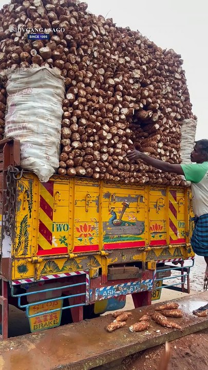 India_s Biggest Sabudana ( Sago ) Mega Factory - video Dailymotion