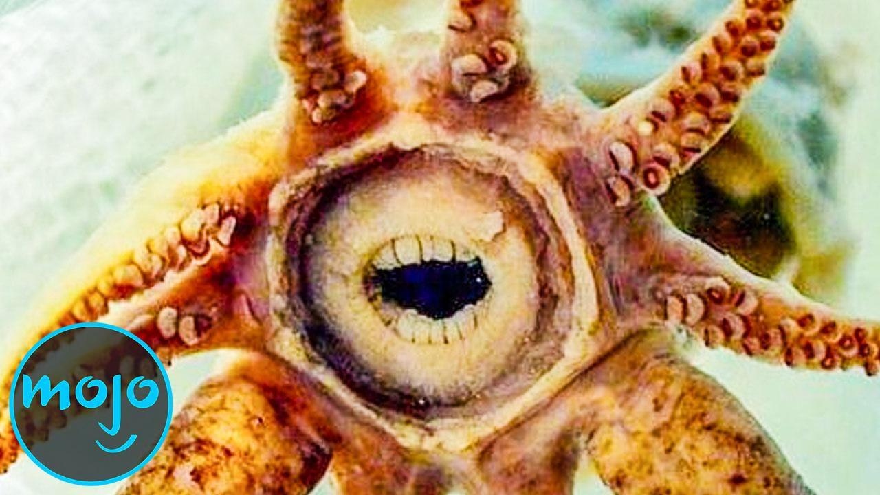 Top 10 Real Life Monsters - video Dailymotion