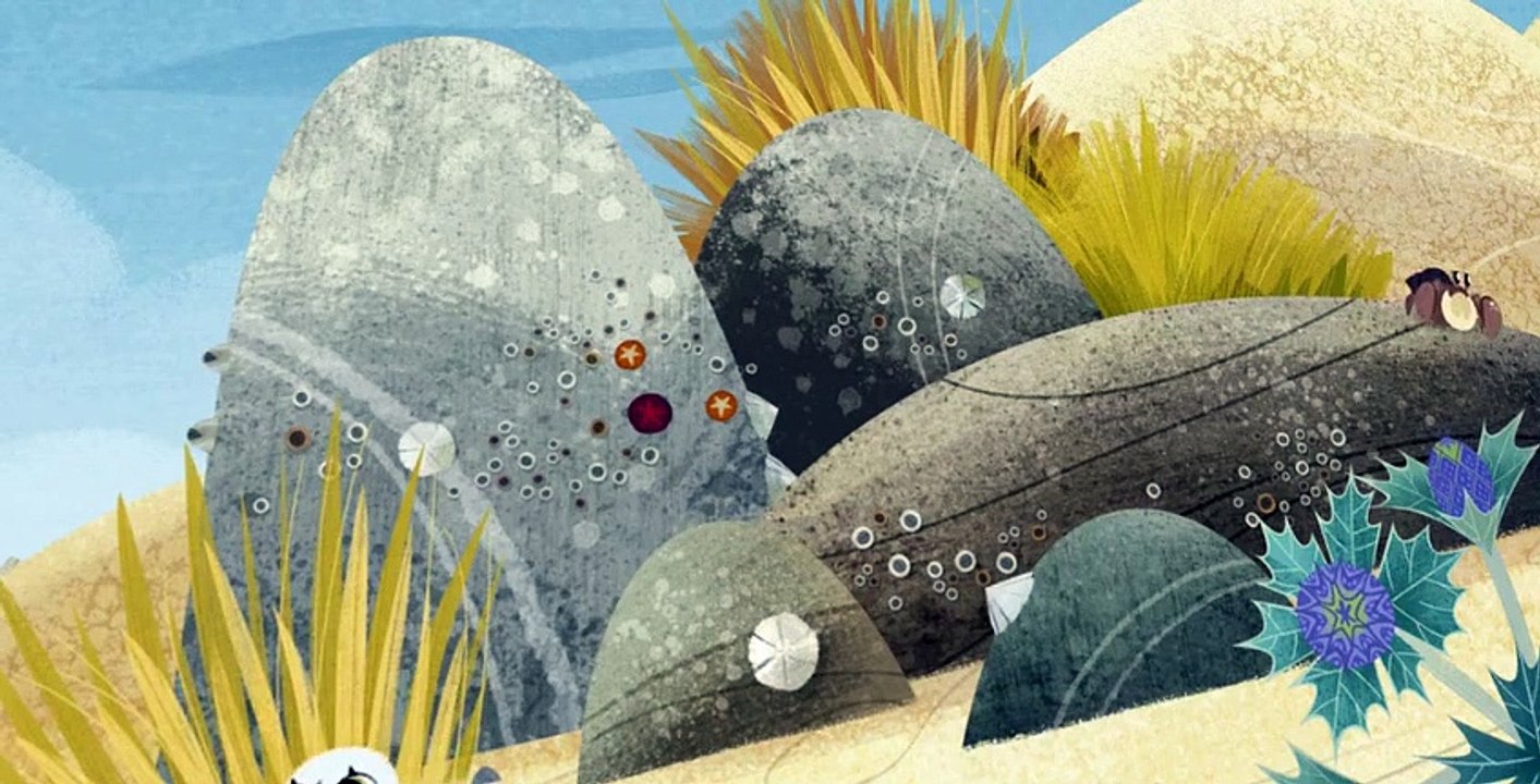 Puffin Rock S02 E06 - video Dailymotion