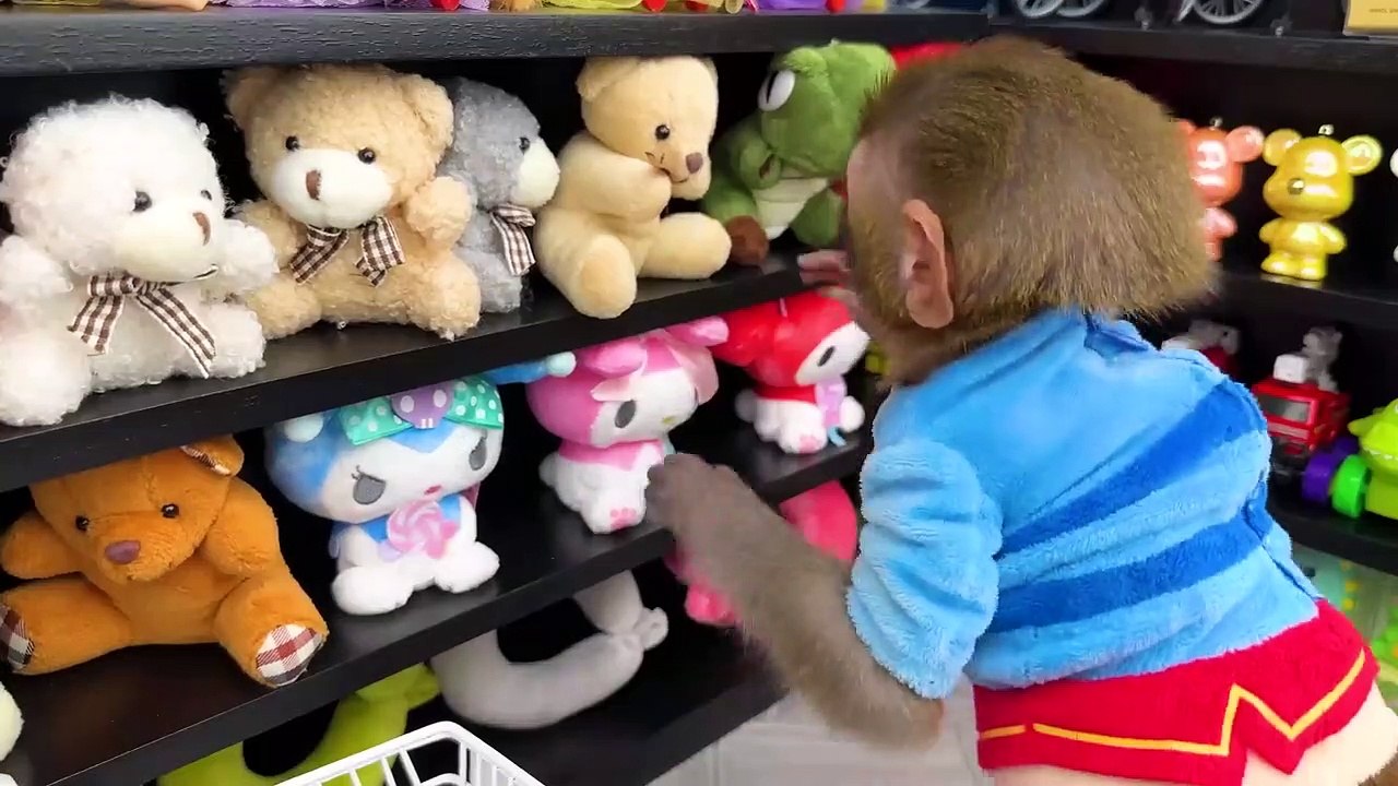 Monkey Baby Bon Bon oes to the toilet and plays with Ducklings in the ...