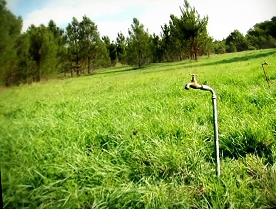 Minuscule S01 E14 - video Dailymotion