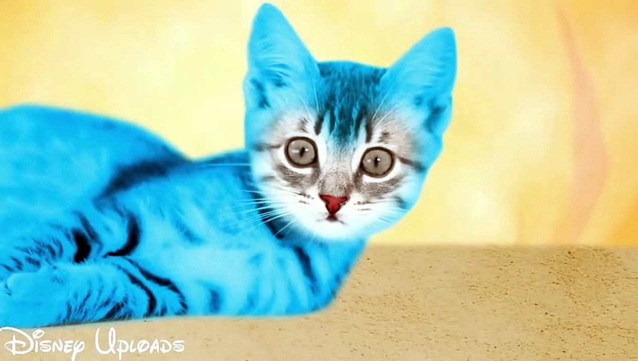 Doraemon: Gadget Cat from the Future (2014) | show | 2014 | Official ...