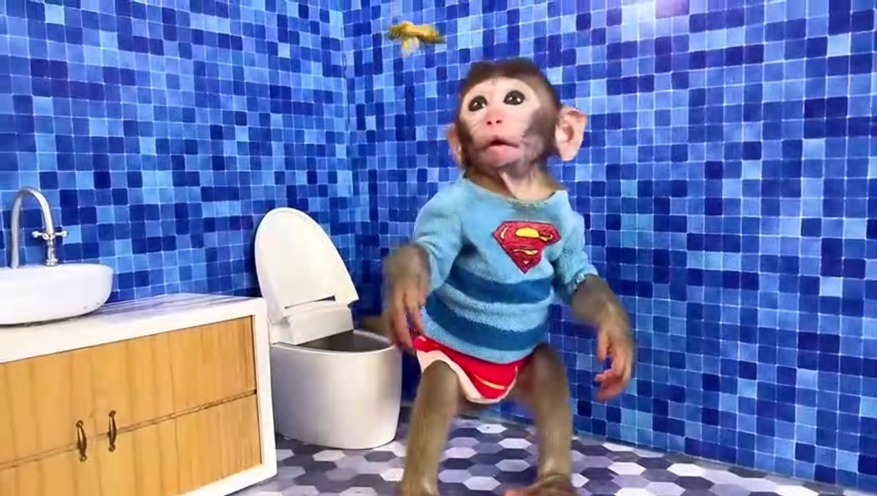 Monkey-Baby-Bon-Bon-oes-to-the-toilet-an_3 - video Dailymotion