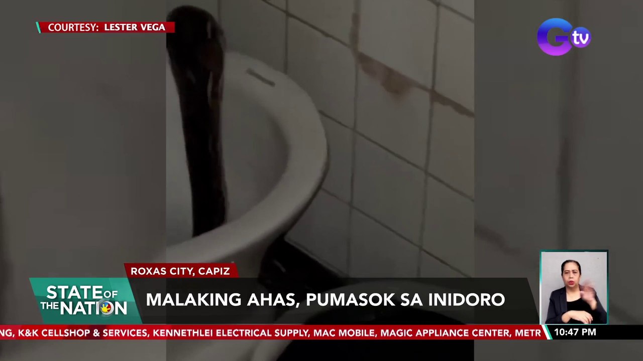 Malaking ahas, pumasok sa inidoro | SONA - video Dailymotion