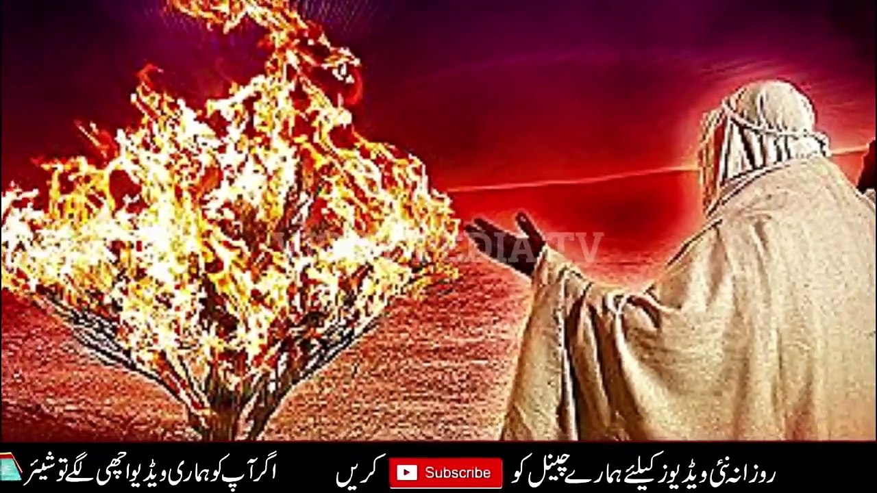 Hazrat Musa Ali Salam ka Waqia_Allah pak Ne Talab kia Insaan ka gosht ...