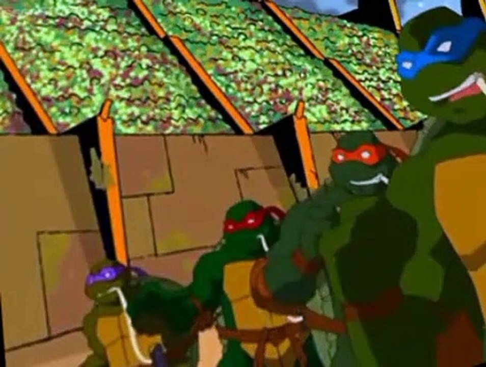 Teenage Mutant Ninja Turtles (2003) S02 E004 Turtles in Space (Part 4 ...