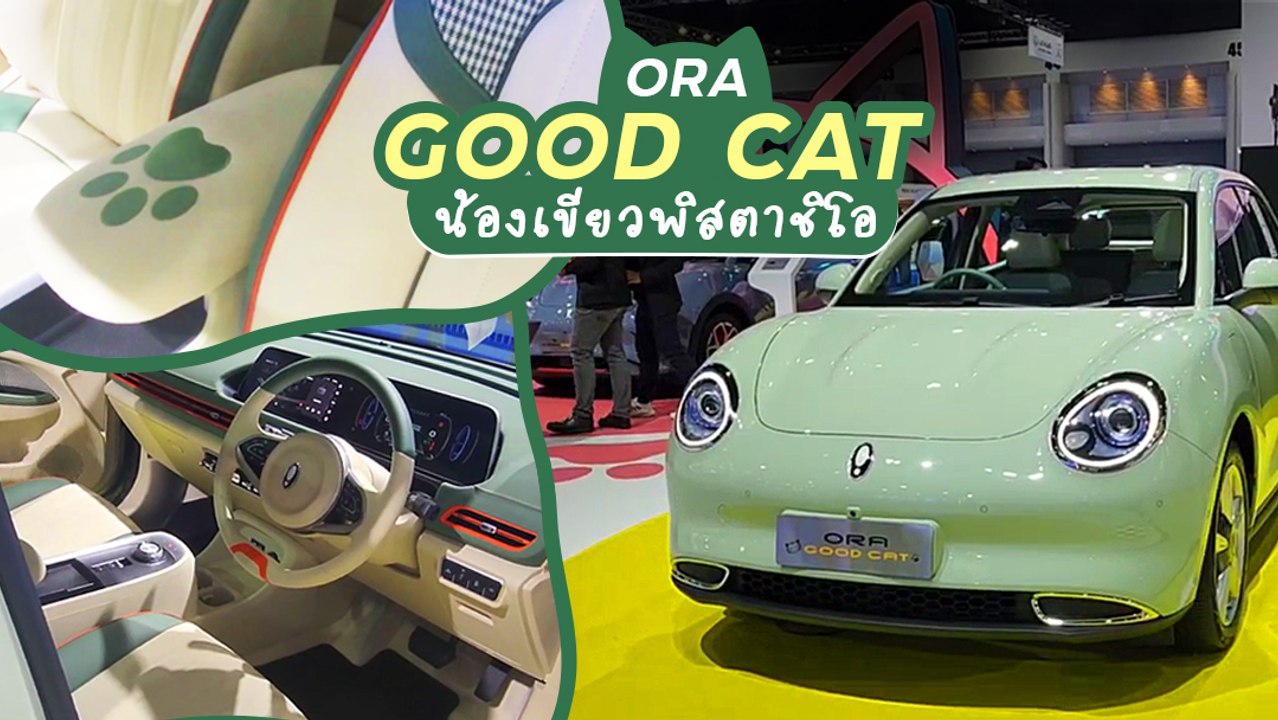 ตัลล้าก ORA Good Cat สีเขียวใหม่ พร้อมอุ้งเท้าเหมียวสุดคิวต์ - video ...