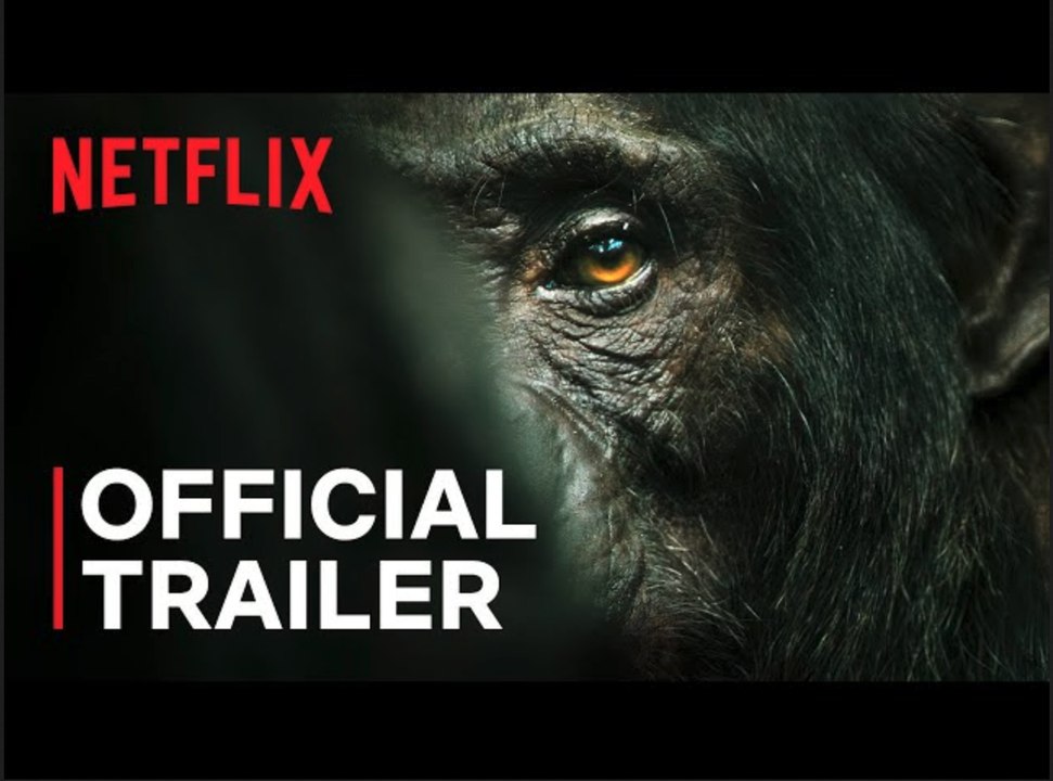Chimp Empire | Mahershala Ali - Official Trailer | Netflix - video ...