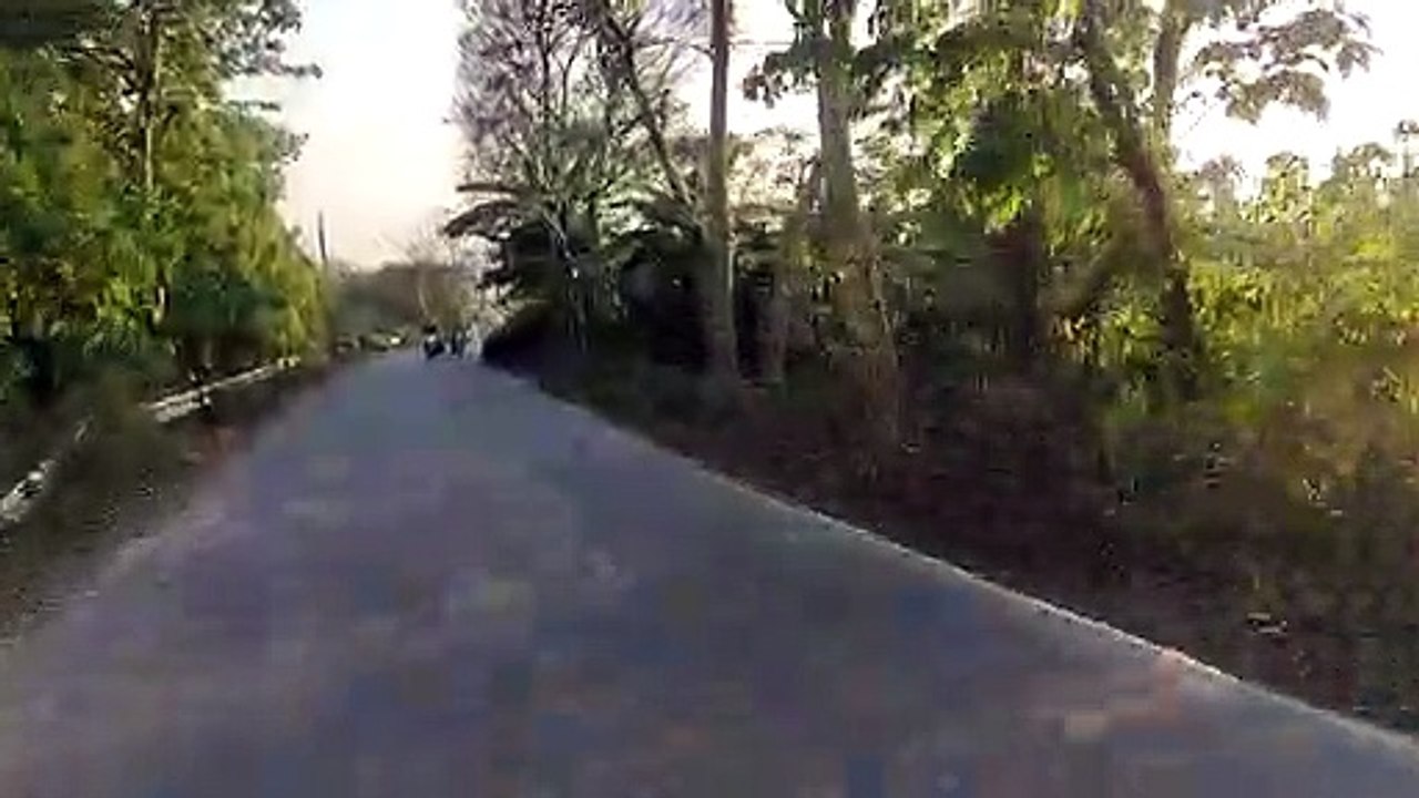 Amazing Beautiful Nature of Village Road Palashi Para To Barnaia Nadia ...